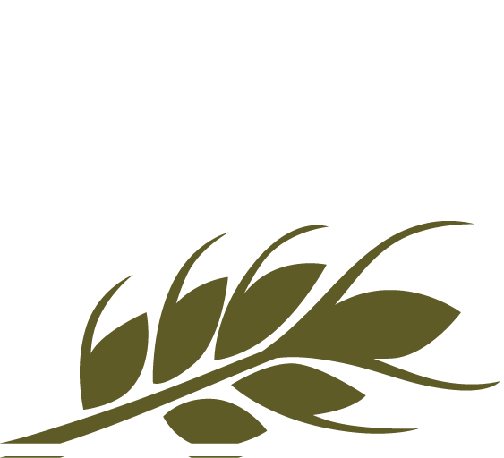 mix-icon – Mix feed